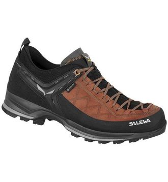 Salewa Mtn Trainer 2 GTX - Wander- und Trekkingschuh - Herren