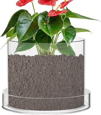 Generico Pots de p&eacute;pini&egrave;re transparents avec drainage - Pots de p&eacute;pini&egrave;re transparents avec drainage r&eacute;utilisables en acrylique pour semis jardin int&eacute;rieur pla