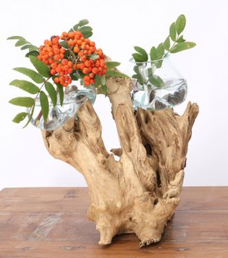 Guru Shop Exotische Wurzelholz Vase mit 2 Gl&auml;sern - 2 x &Oslash; Glas bis 10 cm