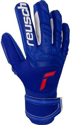 Reusch Torwarthandschuhe Torwarthandschuhe Attrakt Freegel Silver