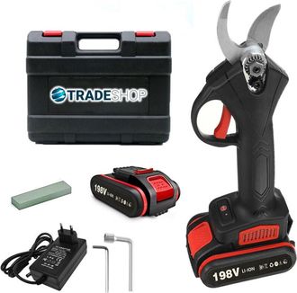 Trade Shop Trade Shop Traesio - Trade Shop - batterien tronca rami 24V cordless 2 batterie 1.0AH