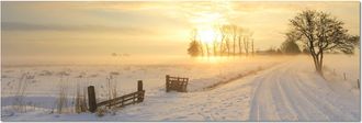 Paul Sinus Art Panoramabild auf Leinwand und Keilrahmen 120x40cm Winterlandschaft Sonnenuntergang Nebel