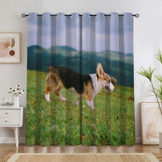 Generic Verdunkelungsvorhang Frisch Thermovorhang K&auml;lteschutz Hund Blickdicht &Ouml;senschal f&uuml;r Gardinen Wohnzimmer & Schlafzimmer H 260 x B 140 cm 2er Set b831