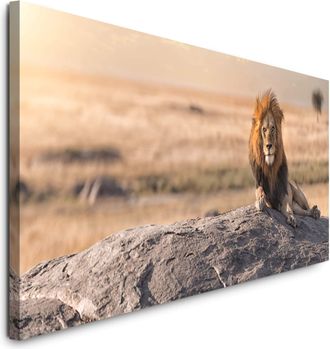 Paul Sinus Art GmbH Löwe auf einem Stein 120x 50cm Panorama Leinwand Bild XXL Format Wandbilder Wohnzimmer Wohnung Deko Kunstdrucke