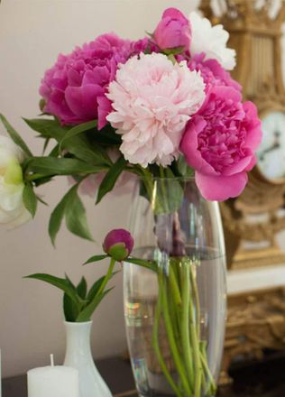 Maison Zoe Mundgeblasene und Handgefertigte Glasvase Amaryllis - 26cm Slim - Blumenvase - Deko & Hochzeit