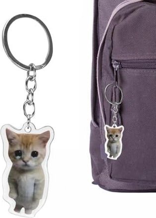 Generico Porte-cl&eacute;s banane | Porte-cl&eacute;s transparent imprim&eacute; banane chat 2D avec cordon pour sacs &agrave; main, sacs &agrave; dos, ornements en acrylique, Pauvre chat 4 cm [