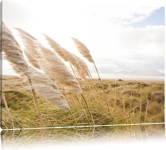 Pixxprint Schönes Schilf in den Dünen, Größe: 60x40cm, Leinwandbild, fertig gespannt, Wandbild, Dekoration, Kunstdruck, kein Poster