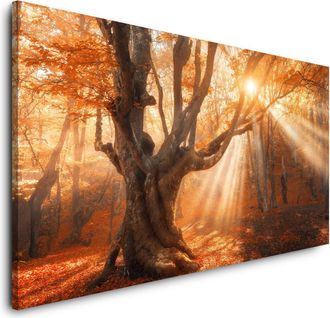 Paul Sinus Art Magischer alter Baum 120x 60cm Panorama Leinwand Bild XXL Format Wandbilder Wohnzimmer Wohnung Deko Kunstdrucke