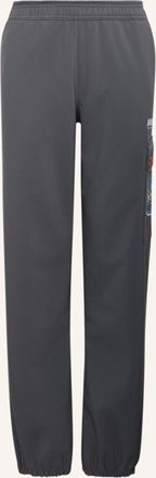 ADIDAS TERREX Adidas Terrex Adidas Minecraft Terrex Climawarm Softshell-Hose grau