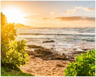 Wallario Poster - Strand im Morgenlicht in Premiumqualit&auml;t, Gr&ouml;&szlig;e: 40 x 50 cm