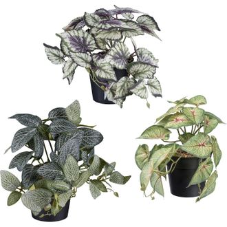 Creativ Green 3er Set k&uuml;nstliche Pflanzen mit Ranken I k&uuml;nstliche Zimmerpflanzen I Pflanzenmix k&uuml;nstlich I Kunstpflanzen im Topf I k&uuml;nstlicher Zimmerpflanzen-Mix I 