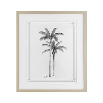 Stupell Industries Gerahmter Vintage-Kunstdruck mit Palme, Birke, unter Glas, Design von beschriftet und liniert, 53,3 x 43,2 cm