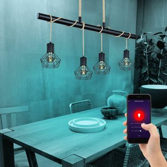 ETC Shop Pendel Decken Lampe App Sprachsteuerung K&auml;fig Leuchte dimmbar im Set inkl. rgb led Leuchtmittel