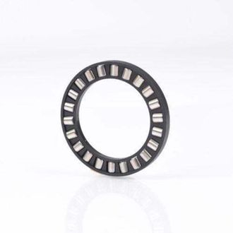 Picard Axial-Zylinderrollenlager K81224 -tv id 120mm ad 170mm 0,56kg ina