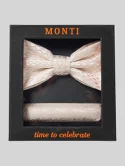 Monti Fliege aus Seide im Set mit Einstecktuch