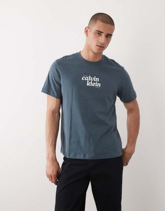 Calvin Klein Jeans T-Shirt in Grau mit mittigem Logo und Print