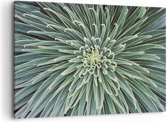 Arttor Wandbilder Dekoration Wohnzimmer Agave Grün Pflanze Bilder auf Leinwand 120x80cm Leinwandbild Schlafzimmer Küche Deko Wand Kunstdruck Art Groß XXL Wan
