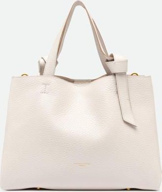 Gianni Chiarini AMIRA