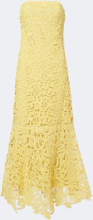 SIMKHAI Robe midi bustier Sera en guipure