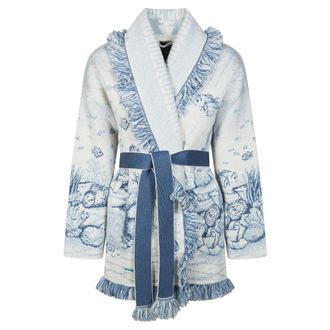 Alanui Femme, Pulls, Multicolore, Taille: 40 FR Deep In The Ocean Cardigan