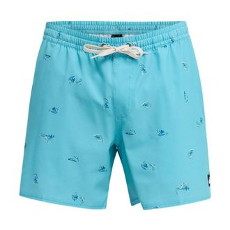 Quiksilver Stretch Printed Volley 16