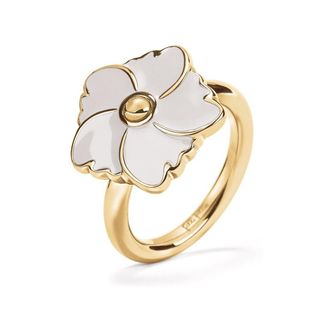 Folli Follie 3r19t009yw52