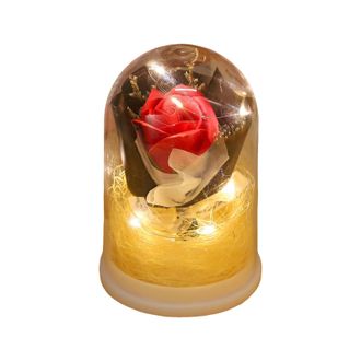 Generico Rosenstrau&szlig; in Einer Kuppel, dauerhafte mit einem Licht, f&uuml;r Mutter, Frauen, Schwester, Tochter, Ehefrau, sie, Valentinstag, Freundin, Geburtstag