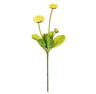 Eurocinsa Ref.66140C10 Mini-Mum mit 2 Blumen und 1 gelben Kapsel 12 Stück, 34 cm