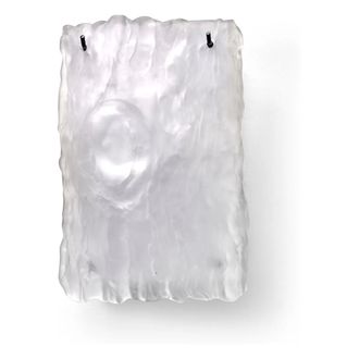 Serax Applique Oak Serax