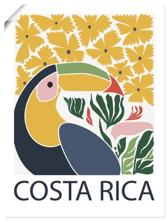 Artland Wanddeko Poster & Kunstdrucke Wandposter 45x60 cm dopamin deko aesthetic Tukan Vogel Blumen Costa Rica Reise U5TG