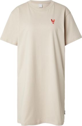 Iriedaily Kleid FC Hummer