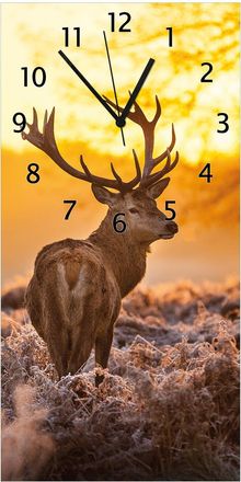 Wallario Design-Wanduhr, Acrylglasuhr Größe 30 x 60 cm, Schwarze Zeiger, Motiv stattlicher Rothirsch im Morgengrauen