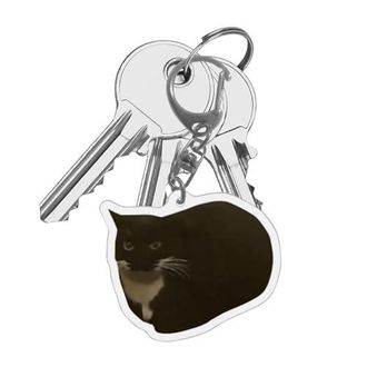 Generic Porte-cl&eacute;s chat | Sons de pleurs mignons faisant des porte-cl&eacute;s - Cha&icirc;ne de t&eacute;l&eacute;phone portable acrylique 2D cr&eacute;ative dr&ocirc;le avec lani&egrave;re pour portefeui