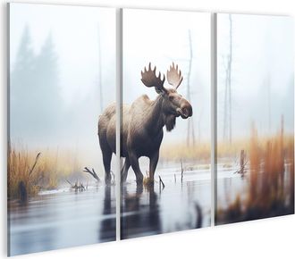 Islandburner Bild auf Leinwand Elch Im Nebeligen Moor Stehend Bilder Wandbilder Poster