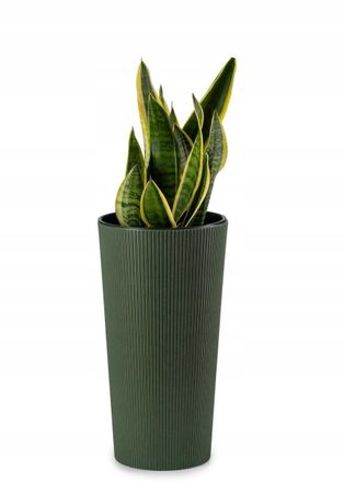 HowHomely Blumentopf Gross Hoch 47 cm mit Pflanzk&uuml;bel Einsatz 26 cm Durchmesser - Gr&uuml;n Pflanzk&uuml;bel Gro&szlig; aus Kunststoff f&uuml;r Deko Wohnzimmer Garten oder Terrasse