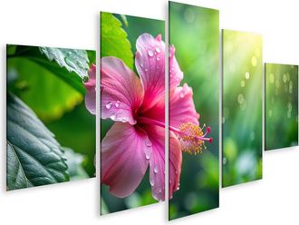 Islandburner Bild auf Leinwand Rosa Hibiskusbl&uuml;te Regentropfen gr&uuml;ne Bl&auml;tter Design Wandbild AC Bilder Wandbilder Poster