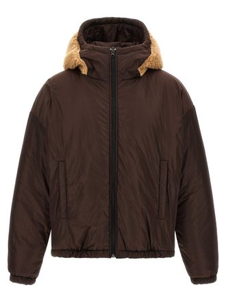 Dsquared2 Reversible Teddy Jacket - Camel