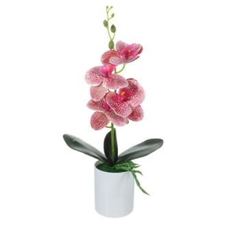 BESPORTBLE K&uuml;nstliche Orchidee Im Topf Realistische Tischpflanze aus Kunststoff Farbecht und Formstabil Dekorative Topforchidee f&uuml;r Kleine R&auml;ume