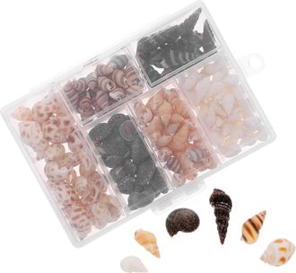 Cabilock Natürliche Muscheln Mix Spiralmuscheln für DIY Kerzenherstellung Aquarien Deko Strandthemen Party Bastelbedarf Vielseitige Meeresdeko für Vasenfüllung