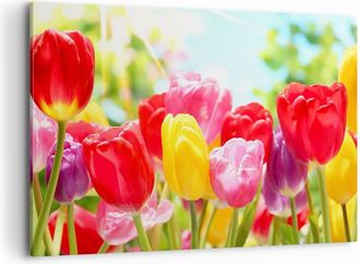 Arttor Bilder auf Leinwand 100x70cm Leinwandbild Tulpe Blume Garten Plantage Gro&szlig; Wanddeko Bild Schlafzimmer K&uuml;che Deko Wandbilder Dekoration Wohnzimmer Wall
