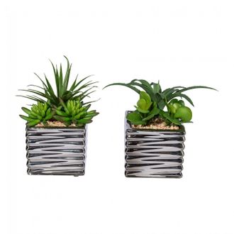 Gasper Sukkulenten-Arrangement x3 Kunstpflanze im Keramitopf, Farbe: Silber, H&ouml;he: 18 cm, 1916101-50