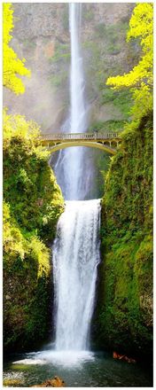 Wallario Glasbild Br&uuml;cke &uuml;ber dem Wasserfall - 50 x 125 cm Wandbilder Glas in Premium-Qualit&auml;t: Brillante Farben, freischwebende Optik