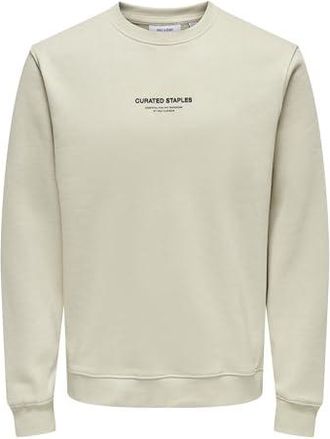 Only & Sons Onscurated Reg Crew Neck Sweat Maillot de survêtement, Doublure argentée, M Homme