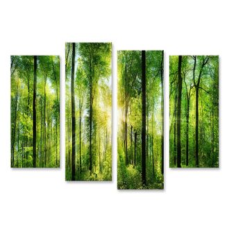 Islandburner Bild auf Leinwand Malerischer Wald Gr&uuml;ne Laubb&auml;ume Bilder Wandbilder Poster