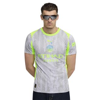 Puma 25/26 Trikot f&uuml;r Herren (Grau/Gr&uuml;n)