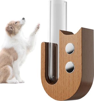 Generic Kleine Vase mit Katzenbärten - Vase und Sammler, dekorativ, aus mit Schnurrbärten der Katze, transparente Glasvase für KatzenSchnurrbärte zur Heimdeko