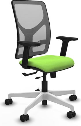 Piqueras y Crespo B&uuml;rostuhl mit 2D-Armlehnen, h&ouml;henverstellbare Lendenwirbelst&uuml;tze, ausgestattet mit Syncro/Traslack und Schneideschaum, Grau/Pistazie