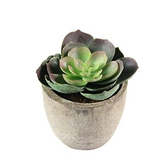 Cabilock Plantes Succulentes Artificielles en Pot D&eacute;coratives pour Bureau Salon Chambre Ajout Nature Int&eacute;rieur 2.8 Pouces