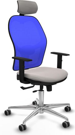 Piqueras y Crespo Ergonomischer Schulstuhl mit 1D-Armen, h&ouml;henverstellbare Lendenwirbelst&uuml;tze und Kopfteil, h&ouml;henverstellbar und neigbar, Blau/Wei&szlig;