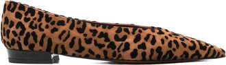 Roberto Festa Milano Ballerinas mit Leoparden-Print - Braun